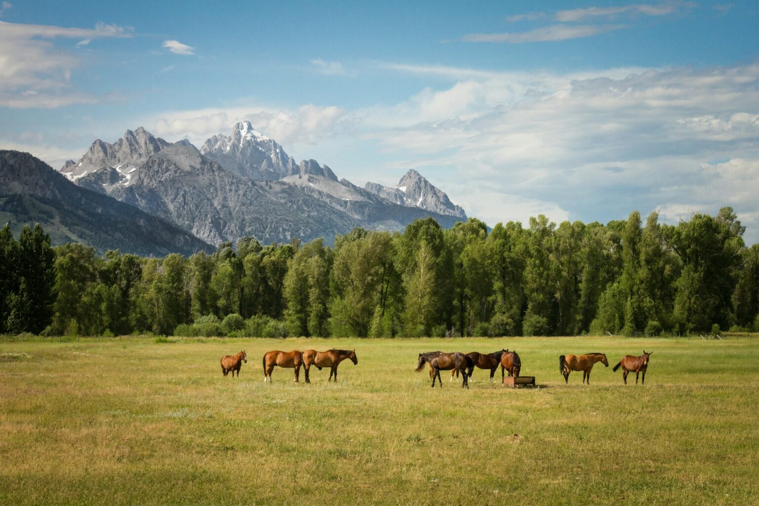 18 Best Things to do in Colville Washington - TRAVEL DE WORLD
